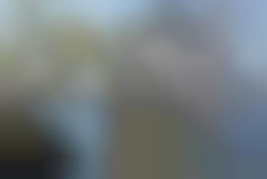 Branches that Draw: Tim Knowles Gives Trees the Tools to Paint on Canvas