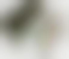 Two-Wheeled Caddies: Bicycle Golf Caddy Brings Green to the Green