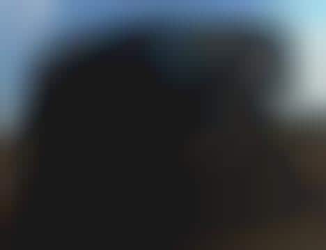 48 Creative Bus Designs