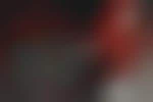 Disturbing Chicken Interviews: PETA Gives You a Graphic Glimpse Into ...