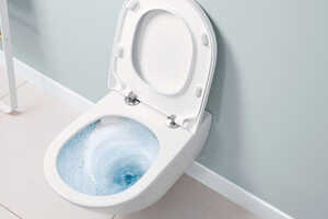 Powerful Vortex Toilet Bowls : Twistflush toilet