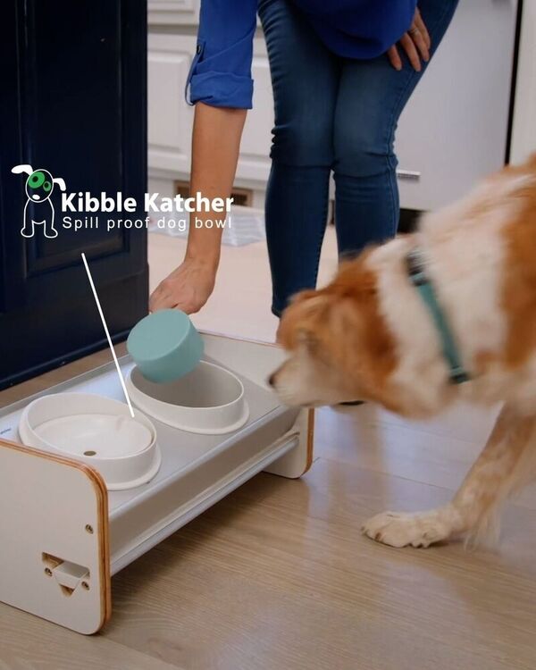 Spill-Proof Kibble Bowls : Kibble Katcher