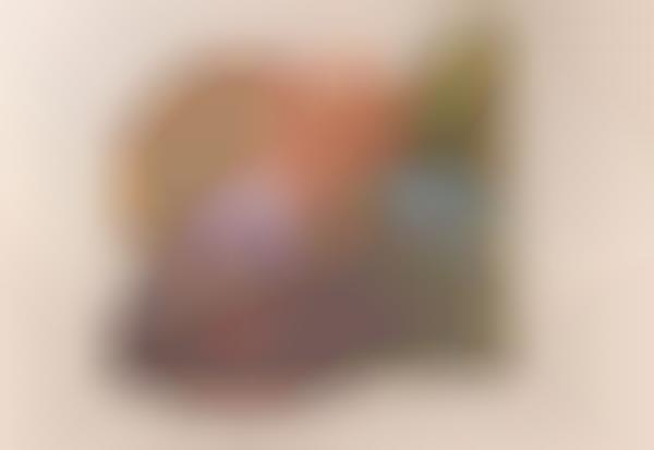 Plant-Powered Solid Shampoos : Solid Vegan Shampoo