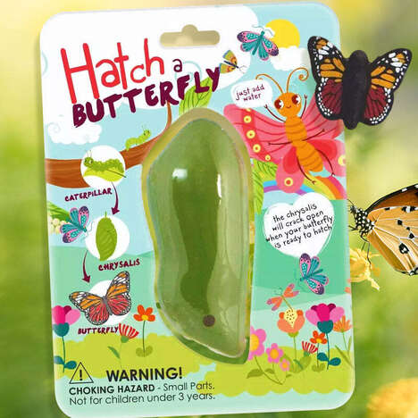 Insect-Inspired Science Toys : Hatch A Butterfly