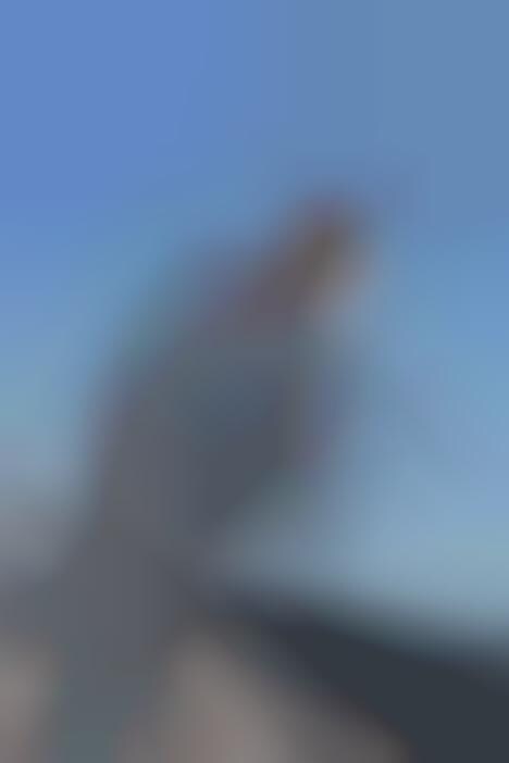 Galactic Punk Streetwear : Durag Dev