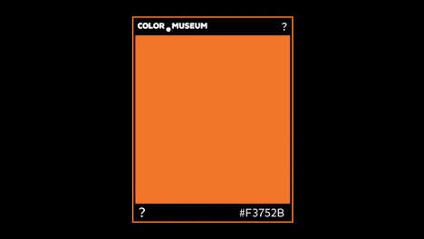 Color-Centric NFTs : Color Museum NFTs