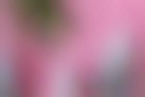 Plant-Powered Dry Shampoos : Batiste Naturally