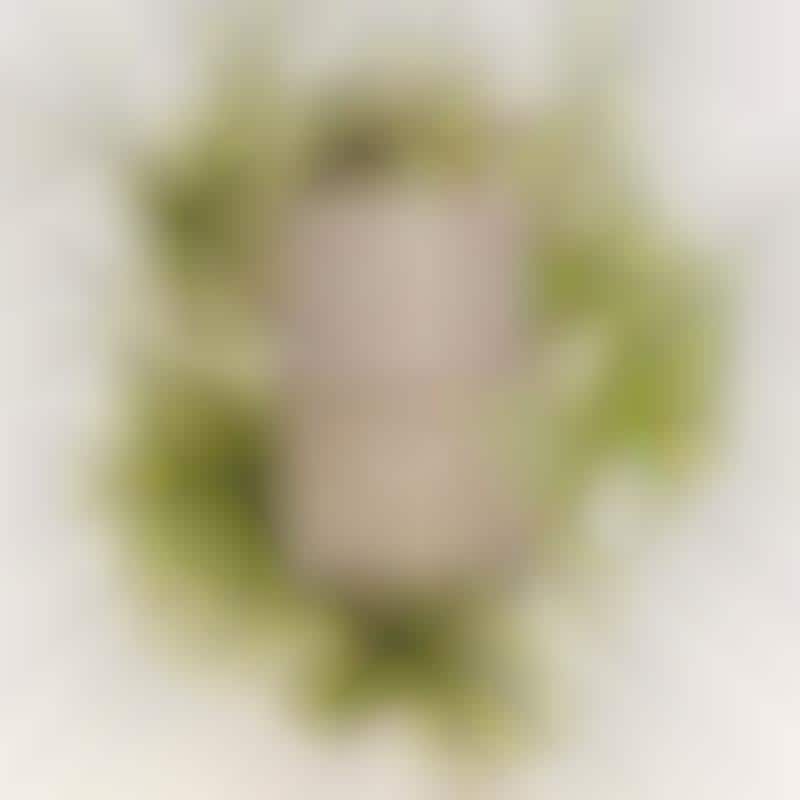 10 Skin Technology Formulas