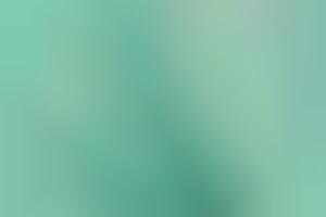 All-Over Multitasking Sticks : The Everything Stick