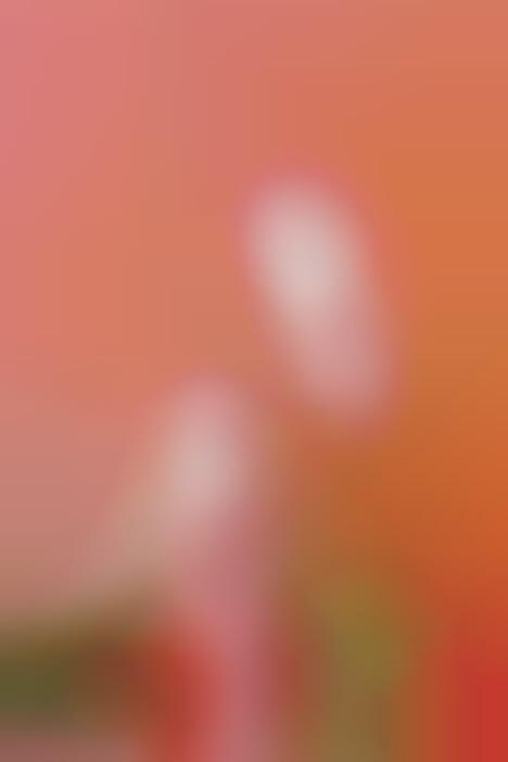 Brightening Watermelon Sunscreens : Watermelon Glow Niacinamide Sunscreen