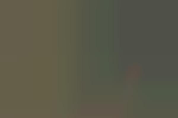 Barefoot-Inspired Walking Shoes : Rainforest Walk shoes