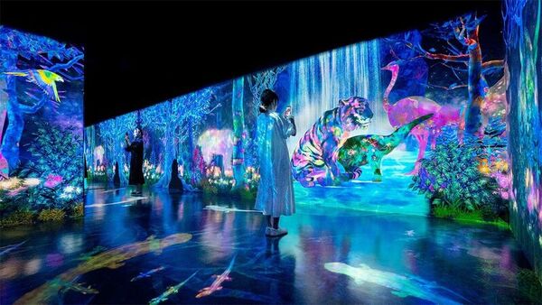 Immersive Digital Forests : teamlab 1
