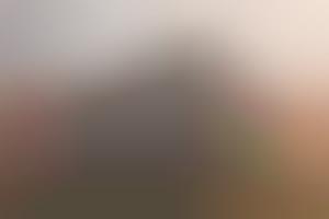 Quick-Access Card-Fanning Wallets : FANTOM X Wallet