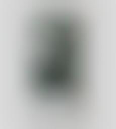 Nature-Themed Work Booths : Botanical Booth