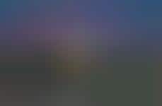 Floor-to-Ceiling Window Tiny Homes : Vika Living 'Vika One'