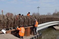 Woven Wood Bridges: Massive Load-Carrying Akkerwinde Bridge Made of Accoya