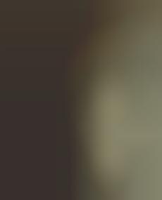 Mussel-Incorporating Bio-Glass Tiles : bio-glass tiles