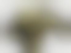 Body-Eating Bots: The EATR Robot is Powered by Biomass (Like Dead Corpses)