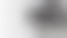 Donkey Desks: iBride Creates Martin the Mule Office Furniture