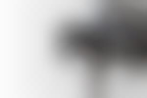 Donkey Desks: iBride Creates Martin the Mule Office Furniture