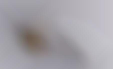 100 Quirky Wall Clocks