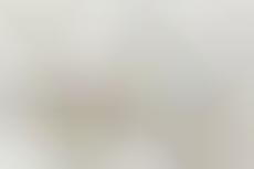 Shape Shifting Cars: The Plus! Concept Car is Designed for a Future ...