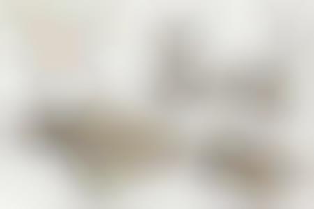 Shape Shifting Cars: The Plus! Concept Car is Designed for a Future ...