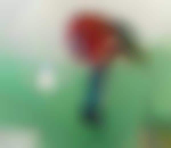 57 Floating Photography Stills