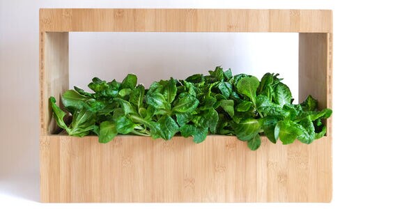 Modular Indoor Gardening Solutions : gud plant box