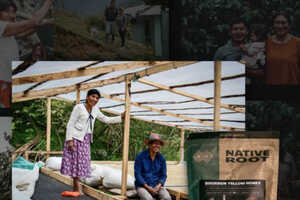 Indigenous Coffee Subscription Services : native root