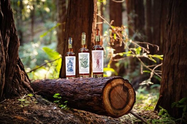Distiller Tree Planting Initiatives : Redwood Empire Whiskey