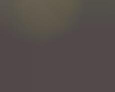 Bridge-Borne Art Museums : art museum