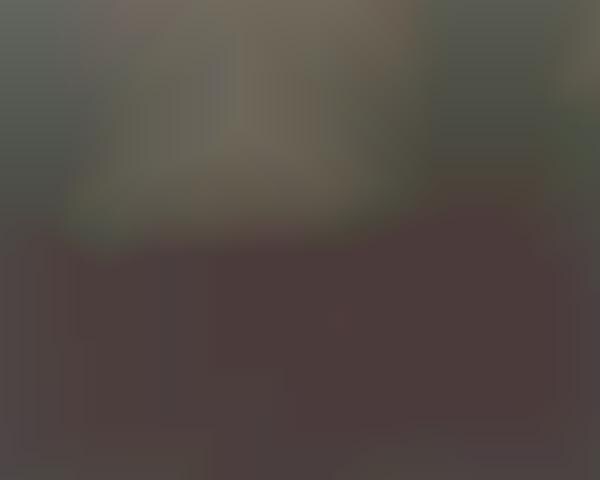 Bridge-Borne Art Museums : art museum