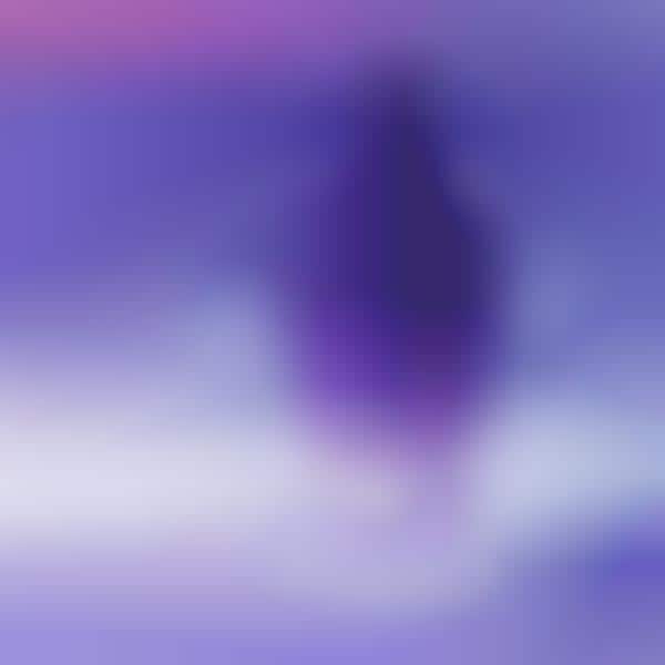 Antioxidant-Rich Emulsions : Immortelle Precious Enriched Emulsion