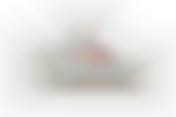Reimagined Nylon Translucent Clogs : Crockyard 3.1