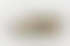 Neutral Tonal Breathable Sneakers : oatmeal colorway