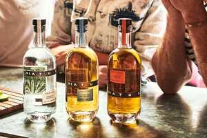 Latinx-Founded Tequila Brands : Hiatus Tequila