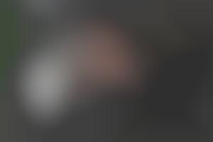 Metamorphosis-Inspired Fashion : THE ONLY CONSTANT IN LIFE IS CHANGE