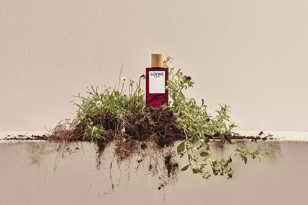 Truffle-Scented Luxe Fragrance : earth fragrance