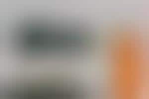 Forest-Inspired Experimental Shoes : design thinking