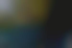 Minimal Collaborative Design Projects : born x raised