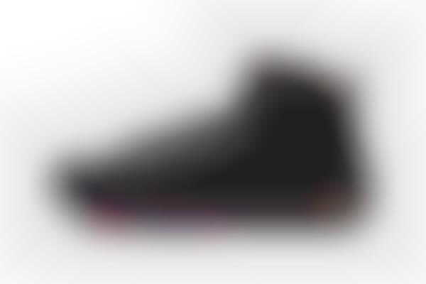 Basketball Team Tonal Sneakers : raptors colorway