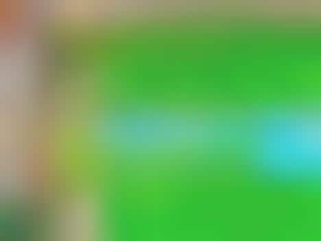 Climate Change Video Games : environmental game