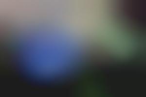 Pretty Peacock Chairs: Dror Studio Pairs With Cappellini to Make This Seam-Free Seating