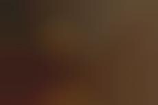 Personal Steampunk Museums: Hollister & Porter Hovey Turn Home Into ...