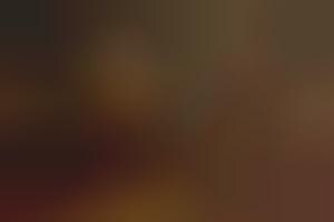 Personal Steampunk Museums: Hollister & Porter Hovey Turn Home Into ...