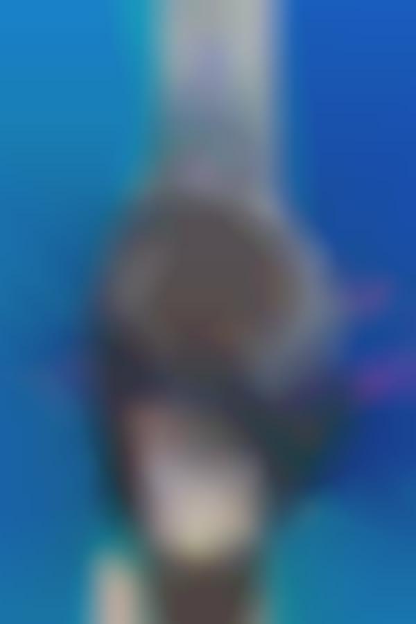 Chromatic Steel Watches : defy extreme