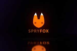 Game Studio Aquisitions : spry fox