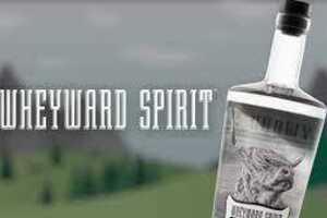 Upcycled Whey-Infused Spirits : Wheyward Spirit
