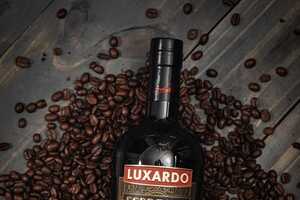 Fine Espresso-Based Liqueurs : luxardo espresso liqueur